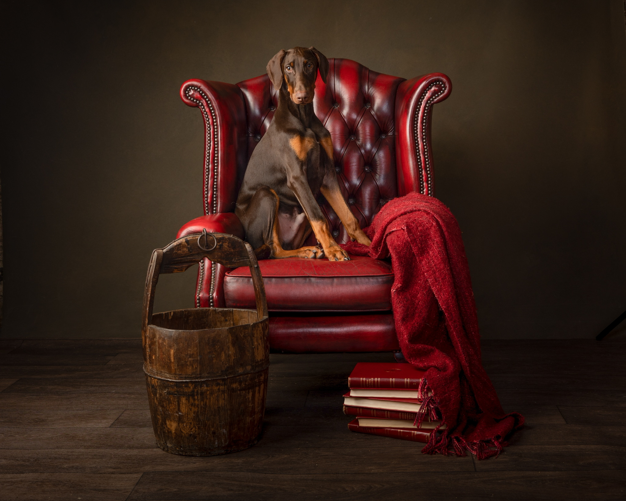 Introducing Phoenix Trained Dogs - SW